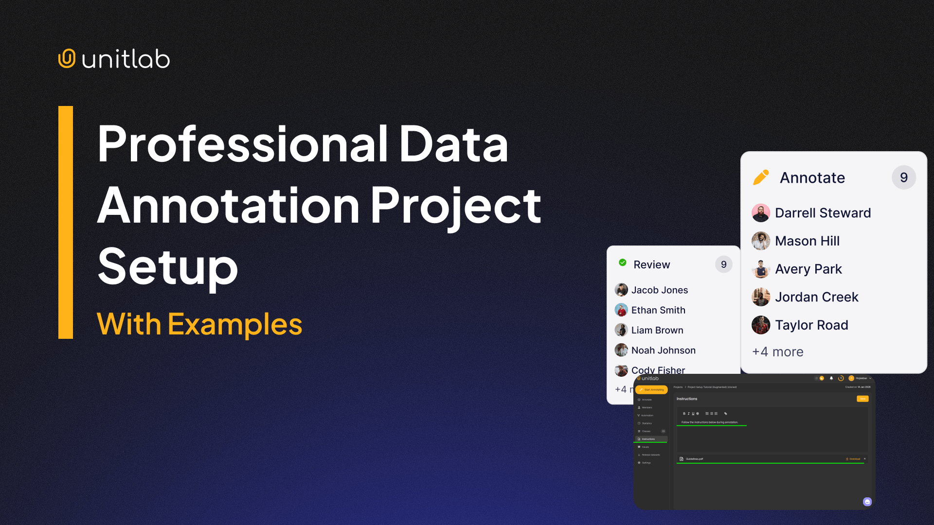 Professional Data Annotation Project Setup